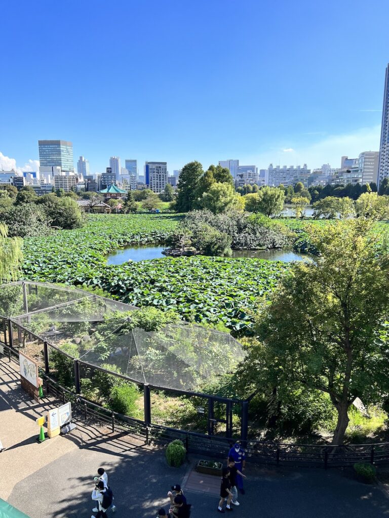 Japão: tudo sobre viajar para Tokyo com crianças