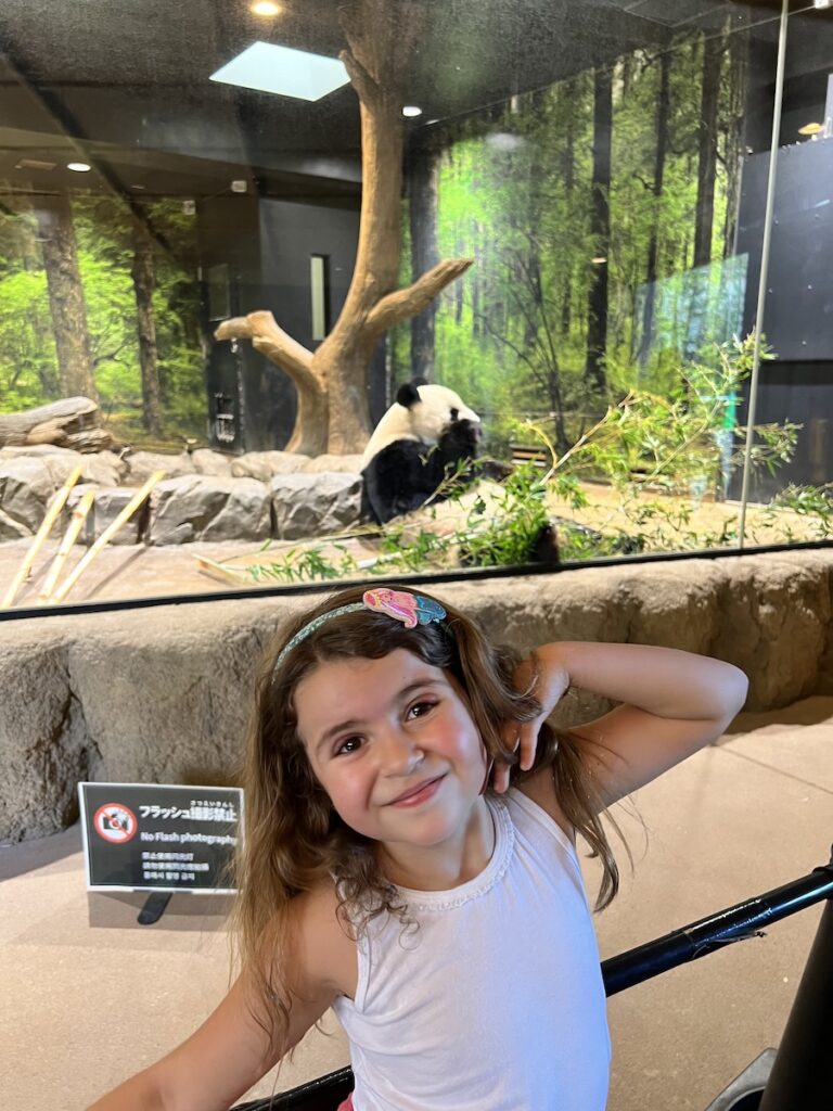 Japão: tudo sobre viajar para Tokyo com crianças